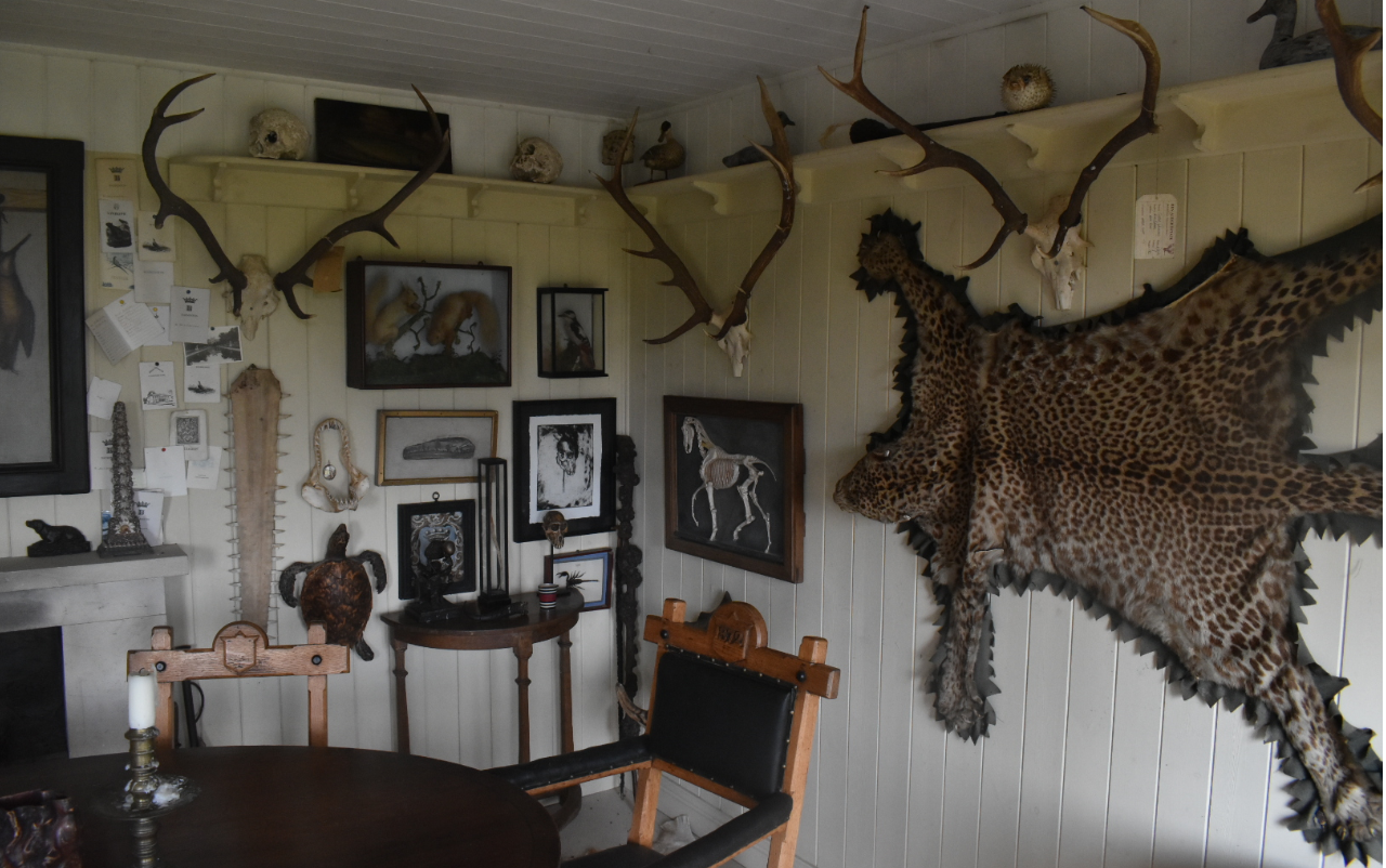 The Hut at the End of our Garden – Milo Dickinson