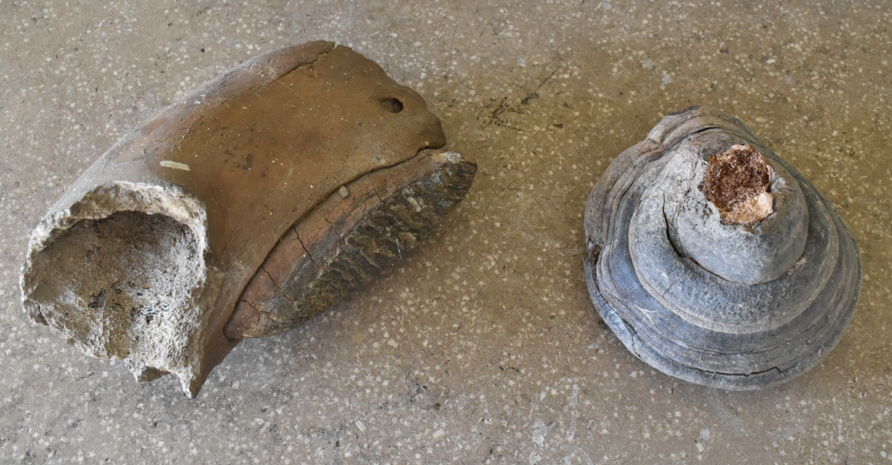 The Hut at the End of our Garden – Milo Dickinson